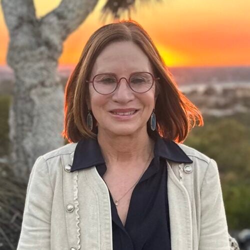 Cynthia G. S. Franklin, Ph.D. - Steve Hicks School of Social Work