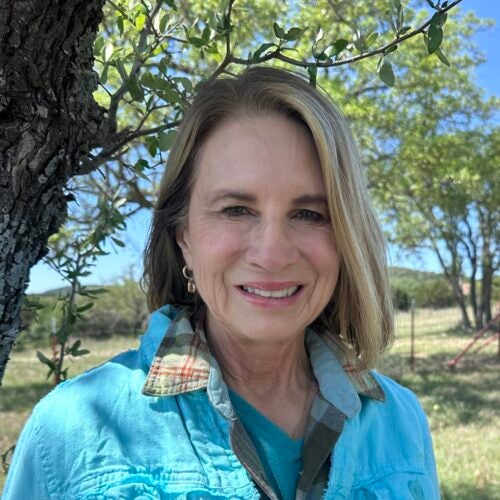 Cynthia G. S. Franklin, Ph.D. - UT Social Work