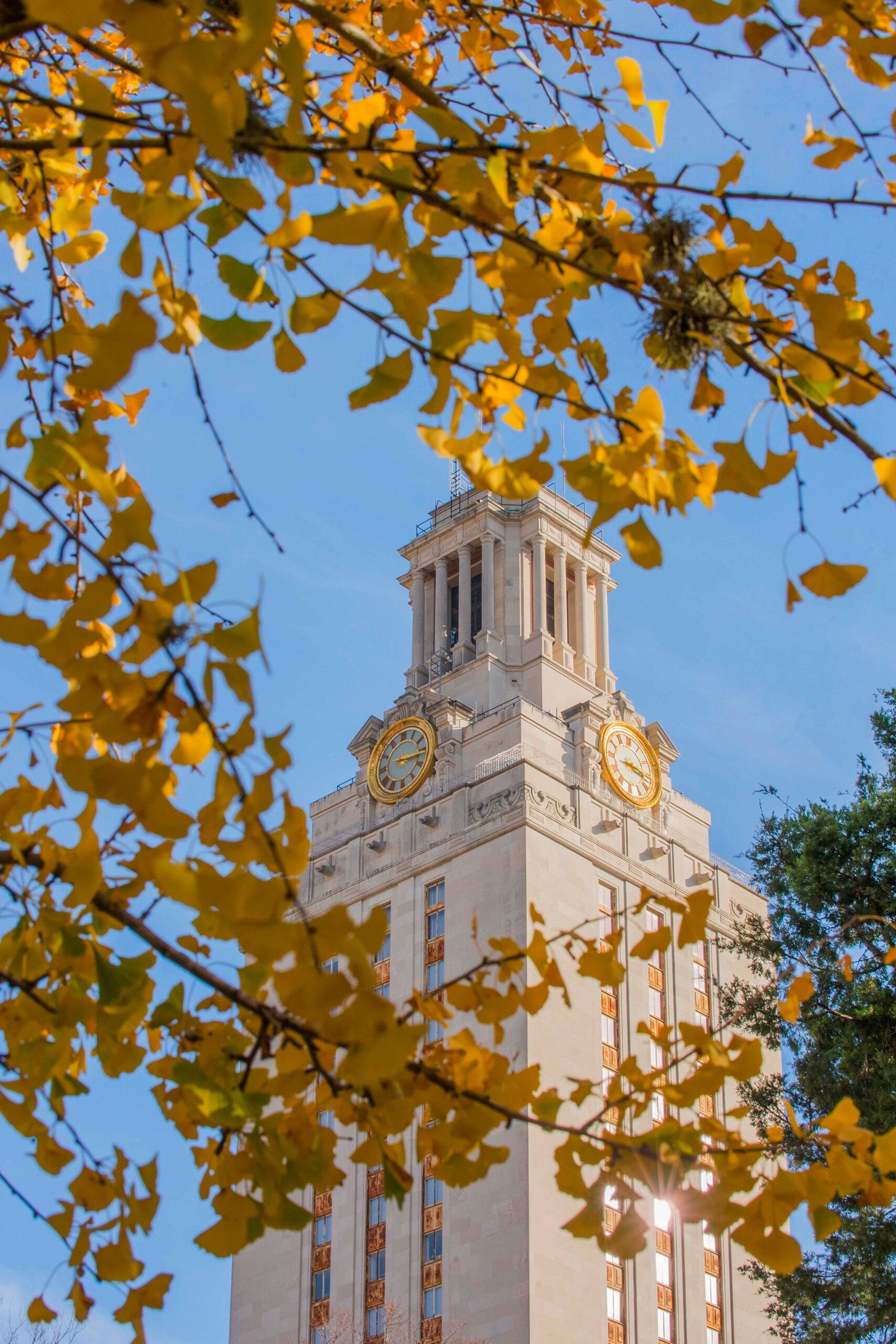 Celebrating service to UT Austin and Texas Social Work - UT Social Work